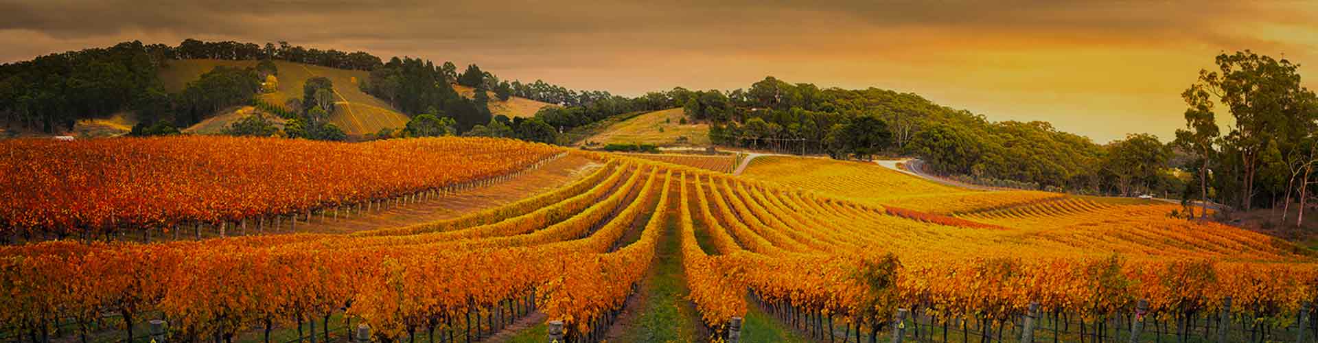 Verzeichnis von Luxemburg! Finden Sie alle Ihre privaten und ...