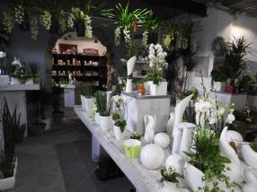 Fleuriste à Dudelange - Fleuriste Dudelange | Editus