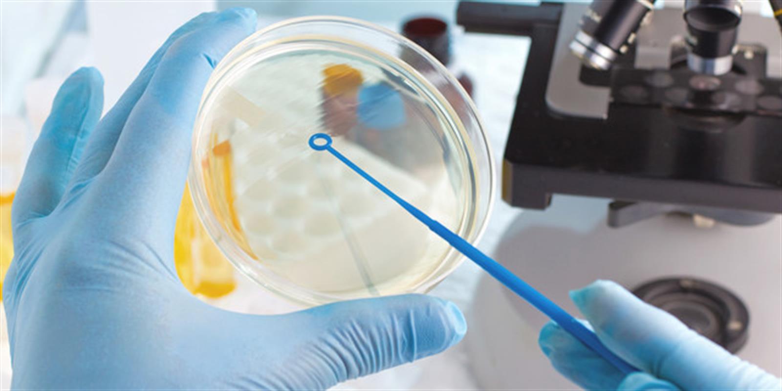 Laboratoire D Analyse Medicale